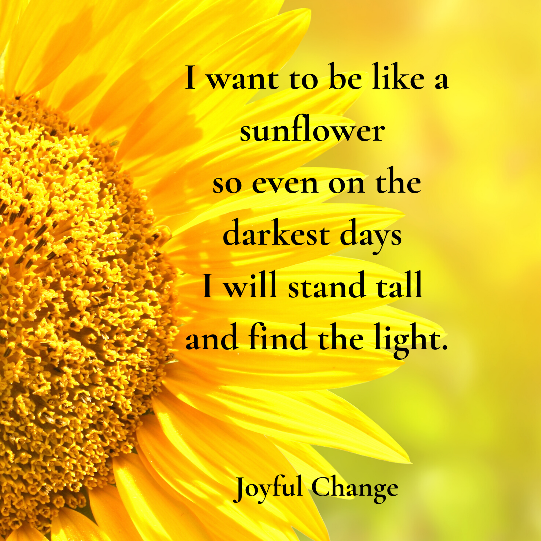 Why A Field Of Sunflowers? – Joyful Change With Yvonne