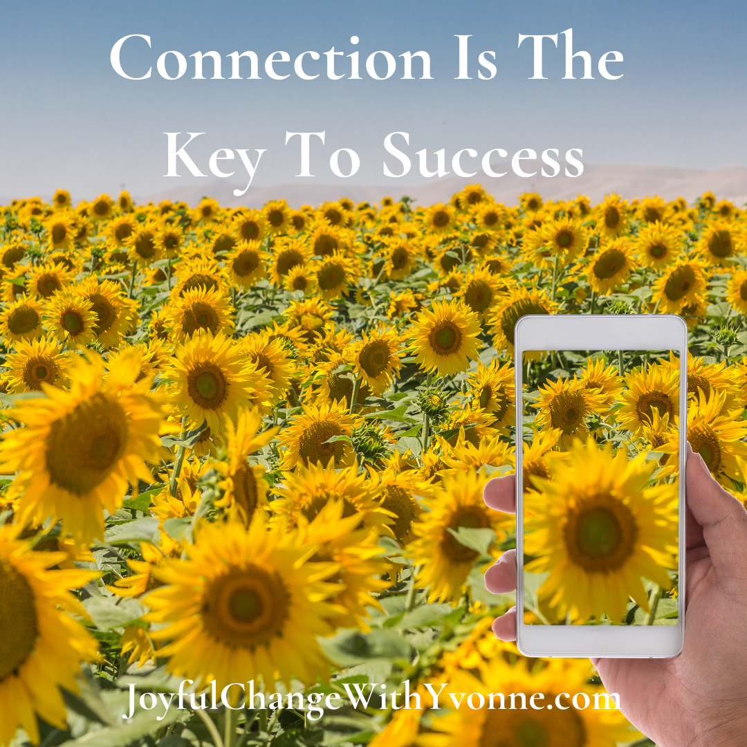 Connection Is The Key To Success – Joyful Change With Yvonne
