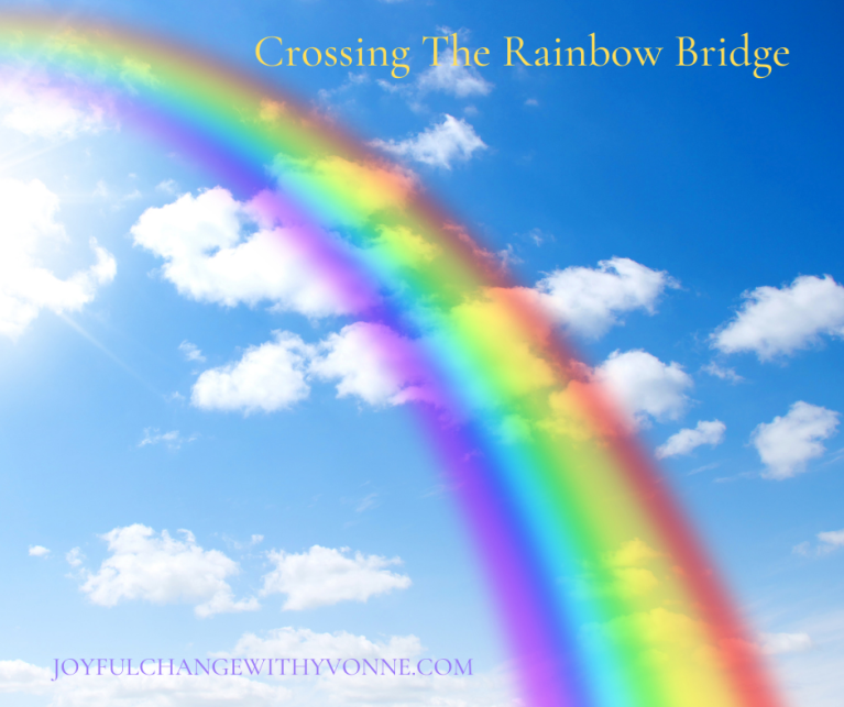Crossing The Rainbow Bridge – Joyful Change With Yvonne