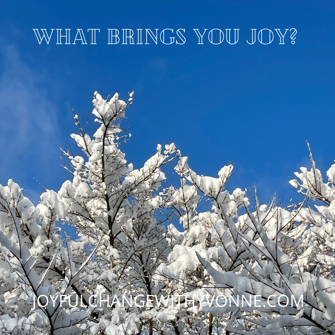 What Brings You Joy? – Joyful Change With Yvonne